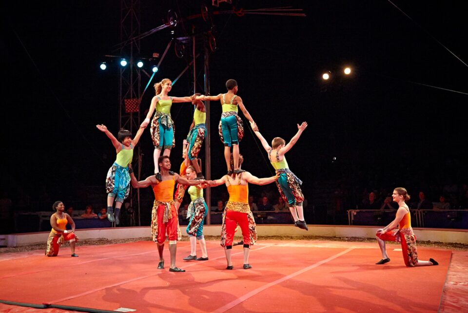 City Museum | Plan Your Visit | Things to Find