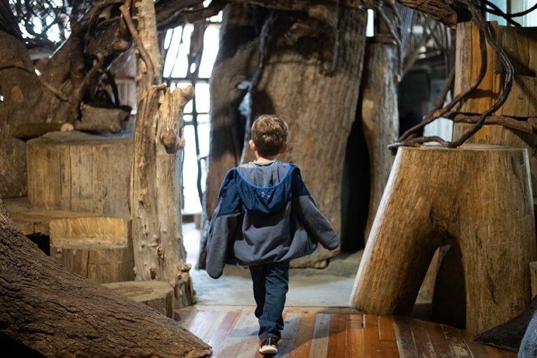 City Museum | Plan Your Visit | Things to Find