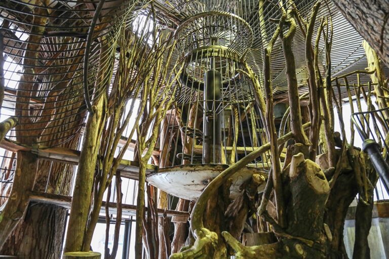 City Museum | Plan Your Visit | Things to Find