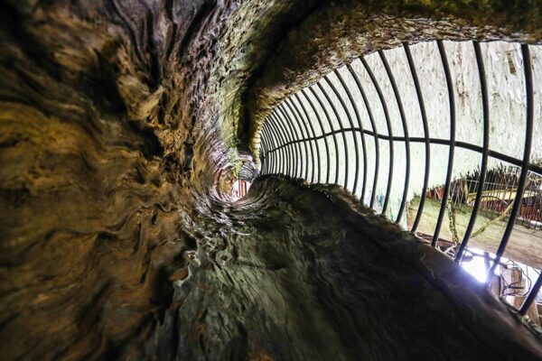 City Museum | Plan Your Visit | Things to Find