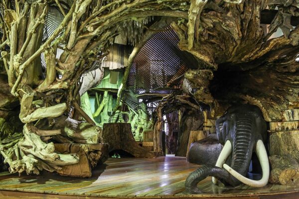 City Museum | Plan Your Visit | Things to Find