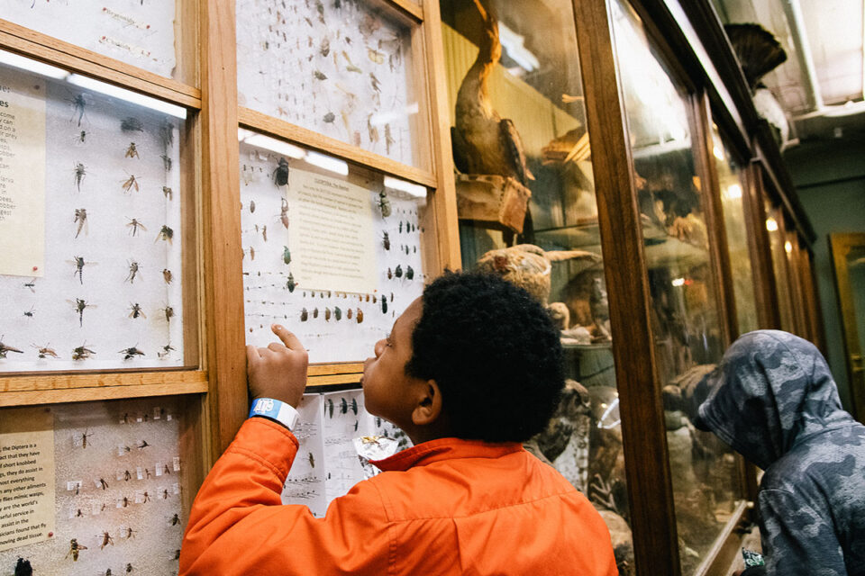 City Museum | Weirdly Wonderful | Gallery