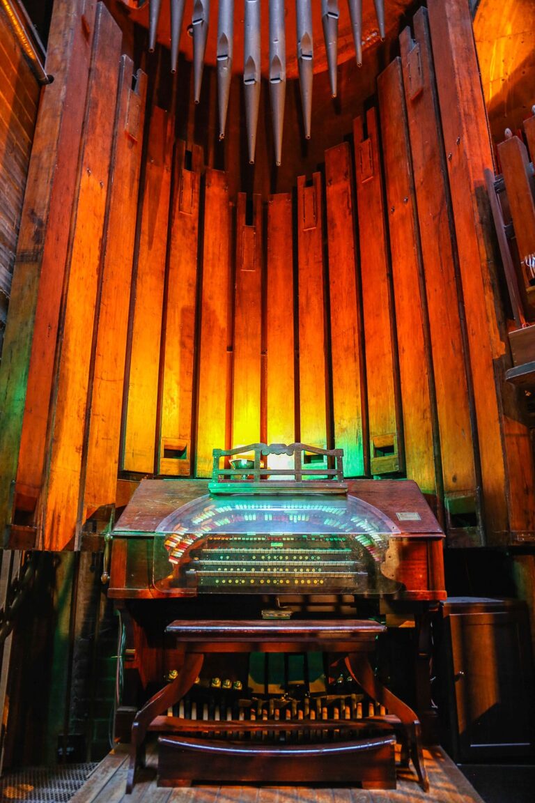 City Museum | Weirdly Wonderful | Gallery