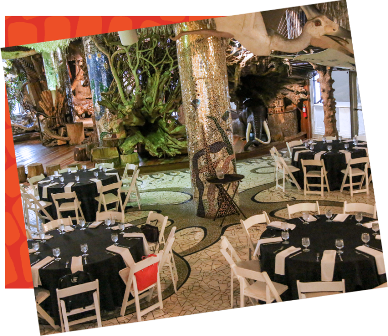 City Museum | Venue Rentals | Weirdly Wonderful