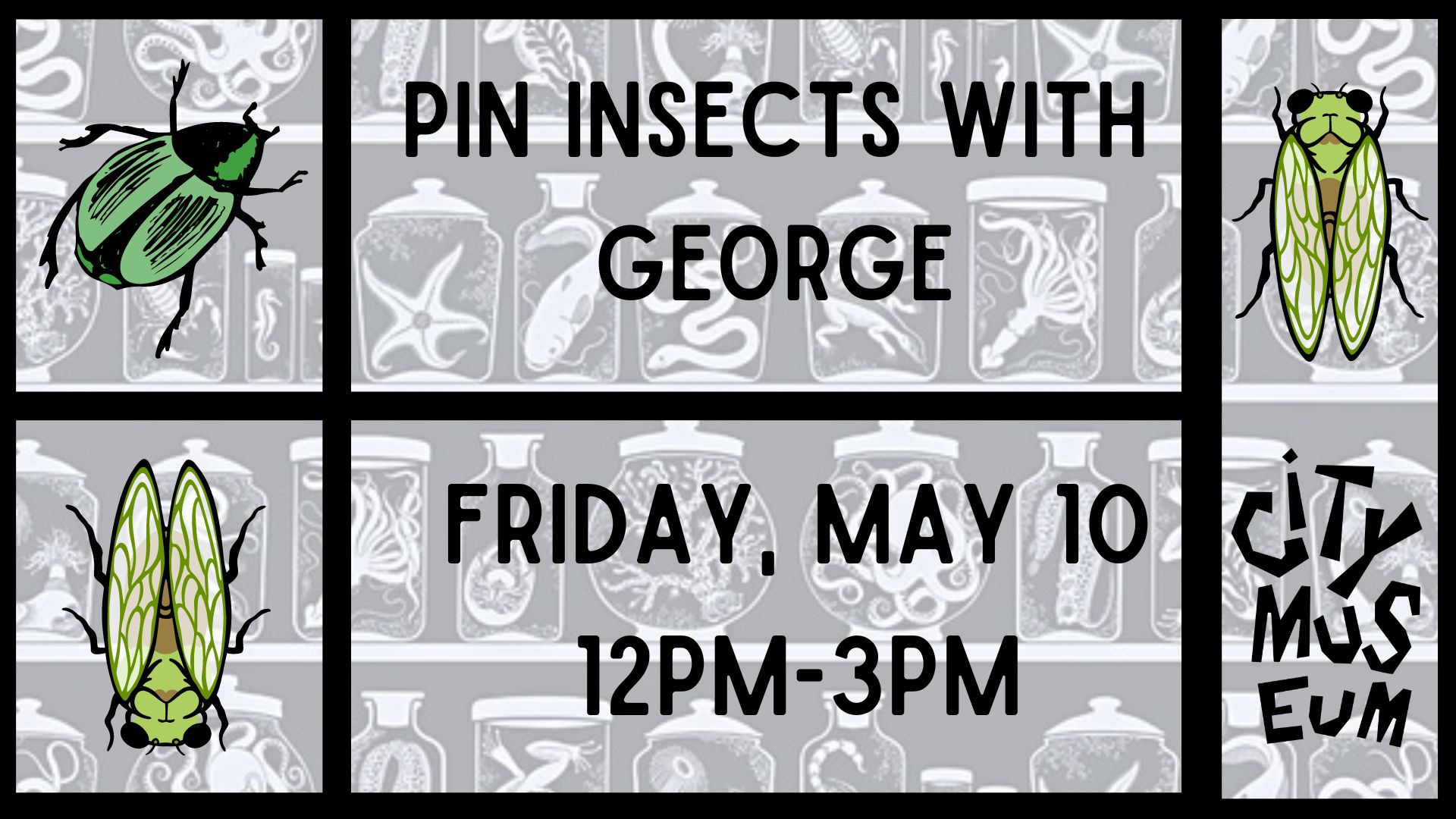 Pin Insects with George - City Museum