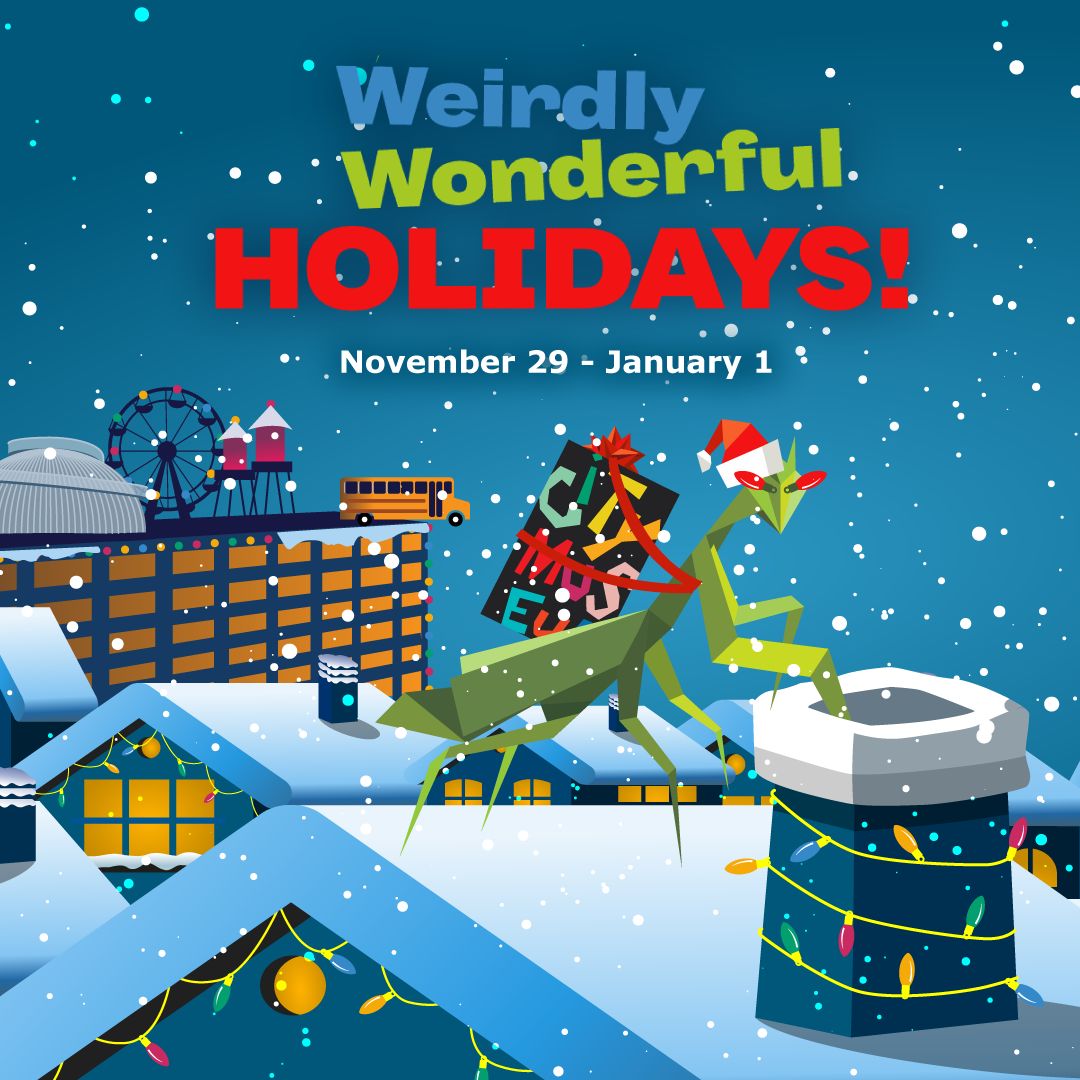 Weirdly Wonderful Holidays - City Museum