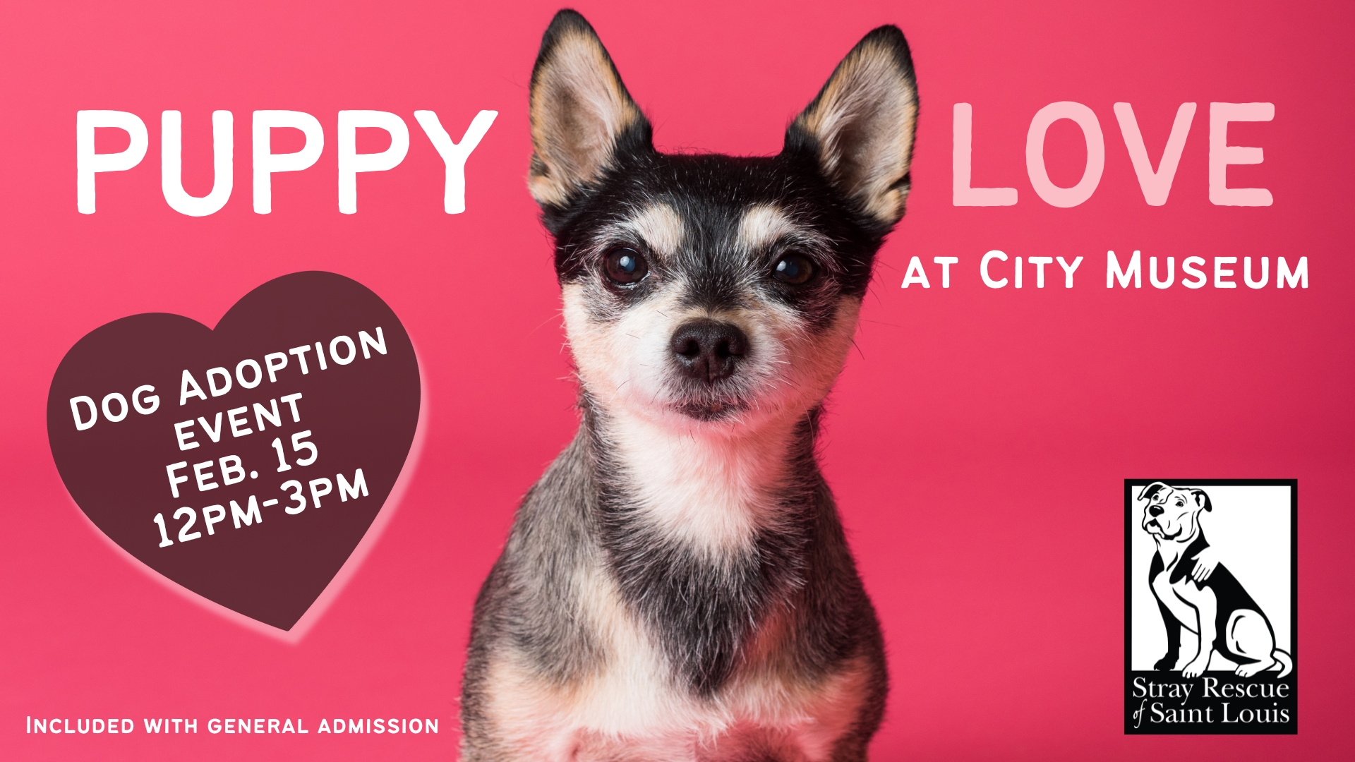 Puppy Love: Dog Adoption - City Museum