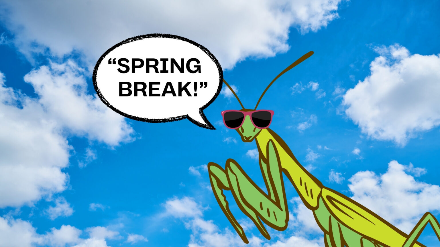 Spring Break 2026 – City Museum