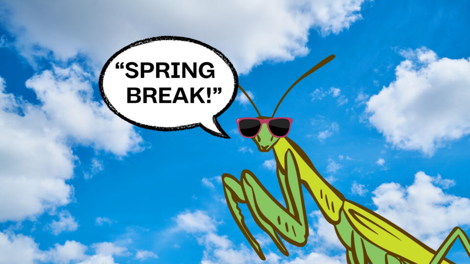 Spring Break 2026 – City Museum